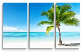 Sablio Obraz - 3-dílný Palma na pláži - 120x80 cm