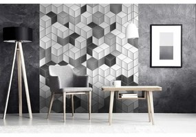 DIMEX | Vliesová fototapeta na zeď Krychle MS-3-0301 | 225 x 250 cm | černá, bílá