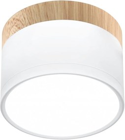Candellux Tuba stropní světlo 1x9 W bílá-dřevo 2273648