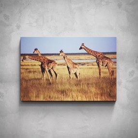 Obraz - Žirafy - PopyDesign