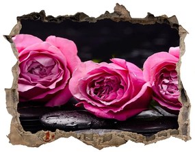 Wallmuralia Samolepící díra na stěnu Růžové růže 95x64 cm