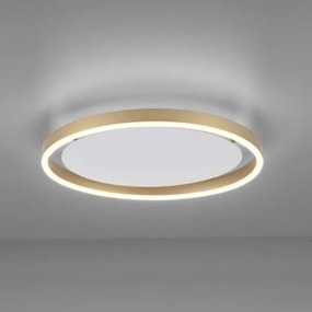 Leuchten Direkt 15391-60 - LED Stmívatelné stropní svítidlo RITUS LED/20W/230V