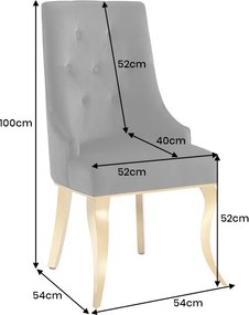 Designová židle Rococo Lví hlava černá / zlatá