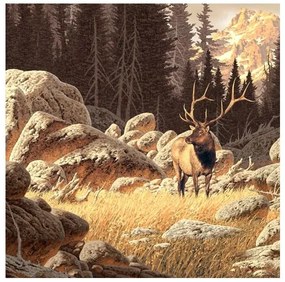 Obraz jelena (50x50 cm), 40 dalších rozměrů