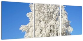 Zasněžený strom - obraz