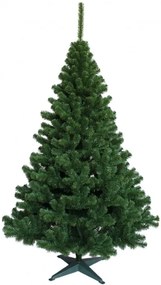 Vánoční stromek Jedle zelená 100 cm