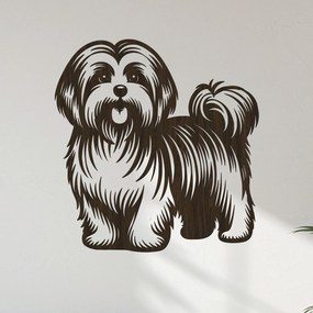 dřevo života Dřevěný obraz Havanský psík (Havanese) Zvolte rozměr (cm): 38x40, Zvolte barvu dekoru: Wenge