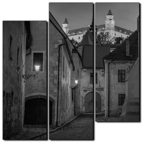 Obraz na plátně - Bratislava staré město s hradem vzadu- čtverec 3265QD (75x75 cm)