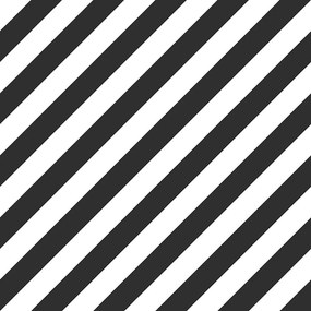 Vliesová tapeta na zeď, šikmé černé a bílé pruhy 139112, Black & White, Esta
