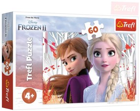 TREFL Puzzle Kouzelný svět Anny a Elsy Frozen 2 (Ledové Království) 33x22cm 60 dílků tr117333