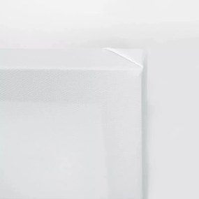 Gario Obraz na plátně Barevná štěňátka Rozměry: 60 x 40 cm
