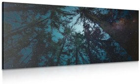 Obraz les pod noční oblohou Varianta: 120x60