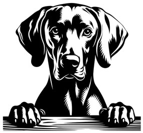 Samolepka pes Výmarský ohař