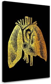 Gario Obraz na plátně Zlatá anatomie, lidské plíce - Gab Fernando Rozměry: 40 x 60 cm