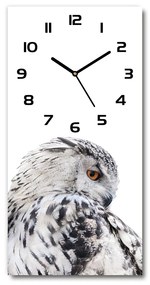 Wallmuralia Moderní hodiny nástěnné Bílá sova 30x60 cm