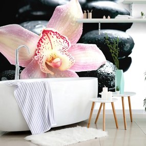 Fototapeta exotická orchidej - 450x300 cm