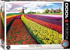 EUROGRAPHICS Puzzle Pole tulipánů / 1000 dílků / 67,63 x 48,89 cm