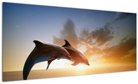 Delfíni - obraz (100x40cm)