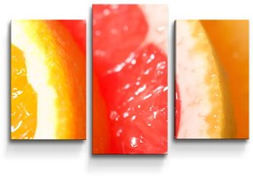 Sablio Obraz - 3-dílný Citrusy - 75x50 cm