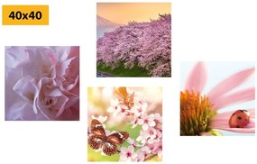 Set obrazů rozkvět přírody - 4x 40x40 cm