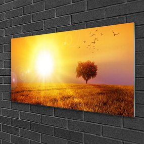Obraz na skle Západ Slunce Louka Plátky 140x70 cm