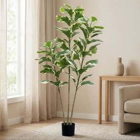 Umělý Ficus Lyrata 180 cm