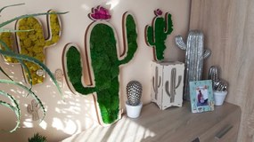 OznTo Živý obraz kaktus 60cm zelený
