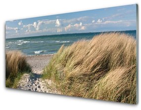 Obraz na skle Pláž Moře Tráva Krajina 125x50 cm