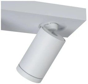 Lucide 09930/10/31 - LED Stmívatelné bodové svítidlo TAYLOR 2xGU10/5W/230V IP44