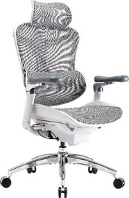 Sihoo DORO-C300-PRO bílá / Kancelářská židle / síťovina