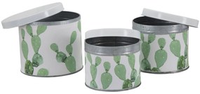 Set 3 ks kulatých úložných boxů Cactus, bílá/zelená