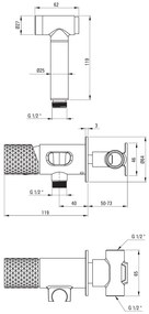 Deante Silia Hexa, podomítková bidetová baterie s bidetovou sprškou, broušená ocel, DEA-BHS_F34M