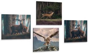 Set obrazů krása lesních zvířat - 4x 60x60 cm