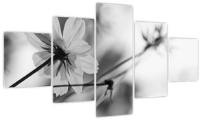 Obraz - Černobílé květiny (125x70 cm)
