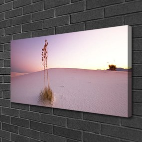 Obraz na plátně Poušť Písek Krajina 140x70 cm
