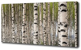 Wallmuralia Moderní fotoobraz canvas na rámu Břízový les 100x50