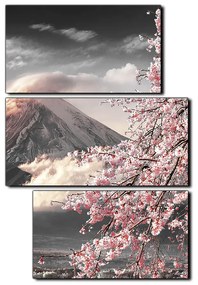 Obraz na plátně - Hora Fuji a třešňové květiny na jaře- obdélník 7266QD (105x70 cm)