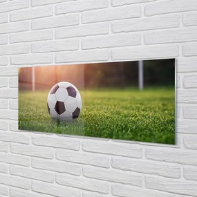 akrylový obraz Fotbal tráva gateway 120x60 cm