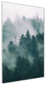 Wallmuralia Vertikální Foto obraz fotografie na skle Mlha nad lesem 50x100