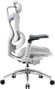 Sihoo DORO-C300-PRO bílá / Kancelářská židle / síťovina