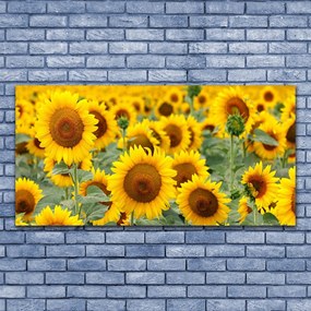 akrylový obraz Slunečnice Rostlina Příroda 120x60 cm