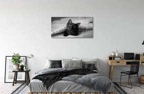 akrylový obraz Kočka pod přikrývkou 100x50 cm