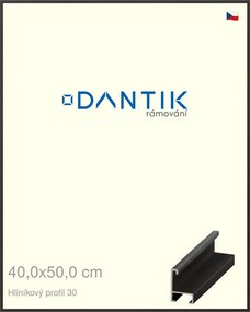 DANTIK rámeček 40x50 | ALU profil 6030 Dýha černá (Plexi Čiré)