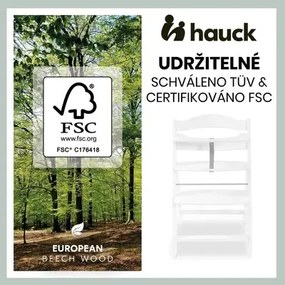 Hauck Alpha+ dřevěná židle, white