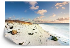 Fototapeta Pláž Mořské Duny Omyvatelný vlies 104x70.5