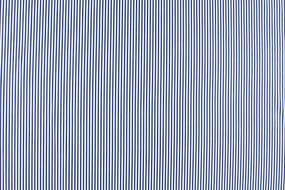 Bavlněný povlak na polštář V kapradinach s pruhem - bílomodrá Velikost: 40 x 40