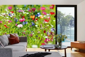 DIMEX | Samolepicí vliesová fototapeta na zeď Malé květy MA-5-1380 | 375 x 250 cm | zelená, modrá, růžová