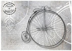 Fototapeta - Vintage bicycles - black and white