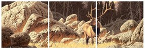 Obraz jelena (90x30 cm), 40 dalších rozměrů