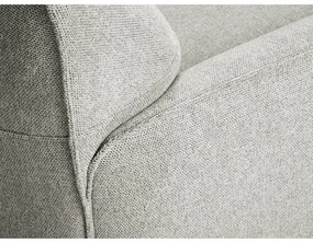 Světle šedá pohovka Windsor &amp; Co Sofas Neso, 235 cm